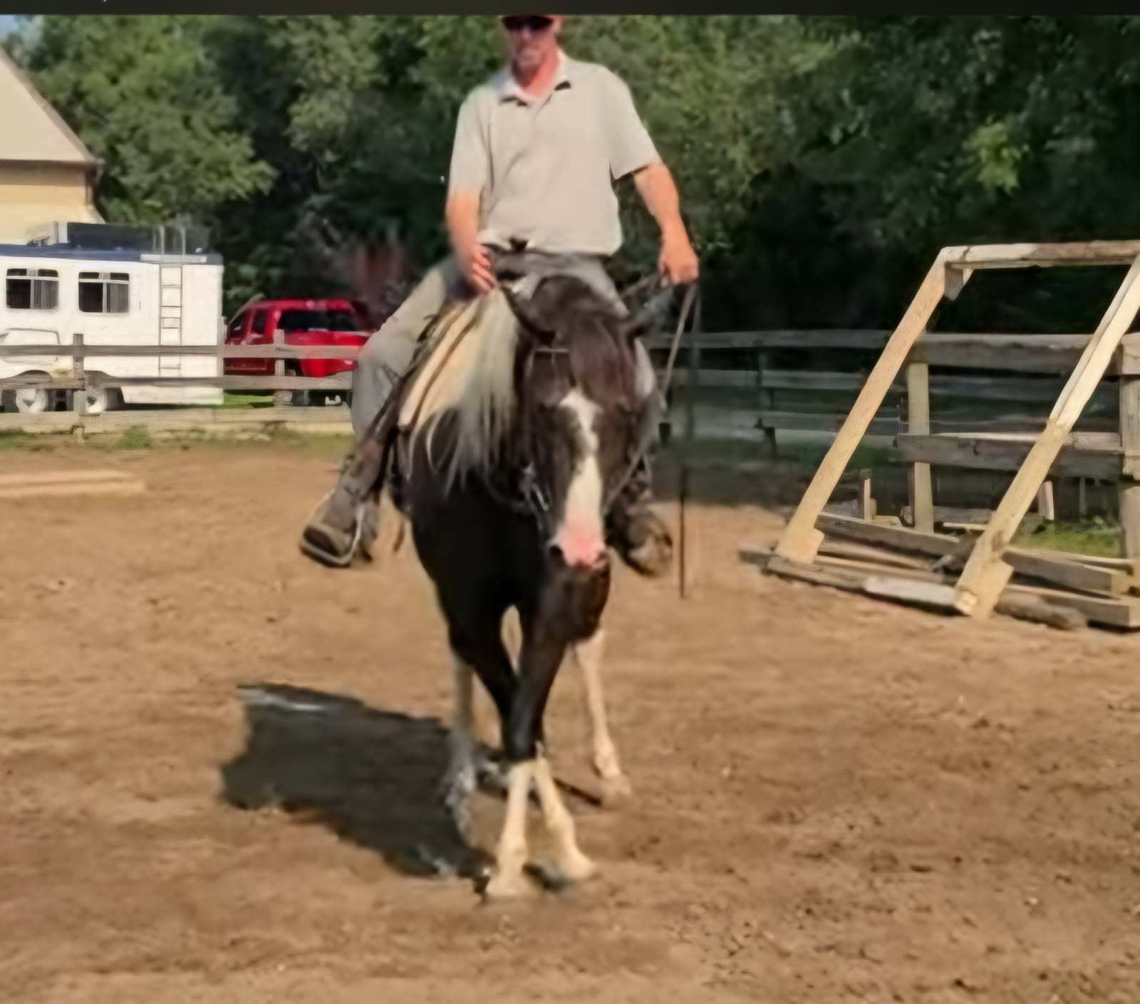 Dreamers Black Ty - 6 year old APHA Paint Gelding - Waverly Sales