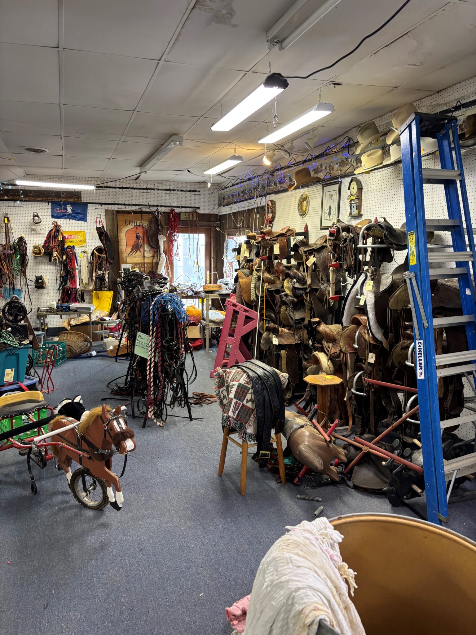 Western Store - Waverly Sales