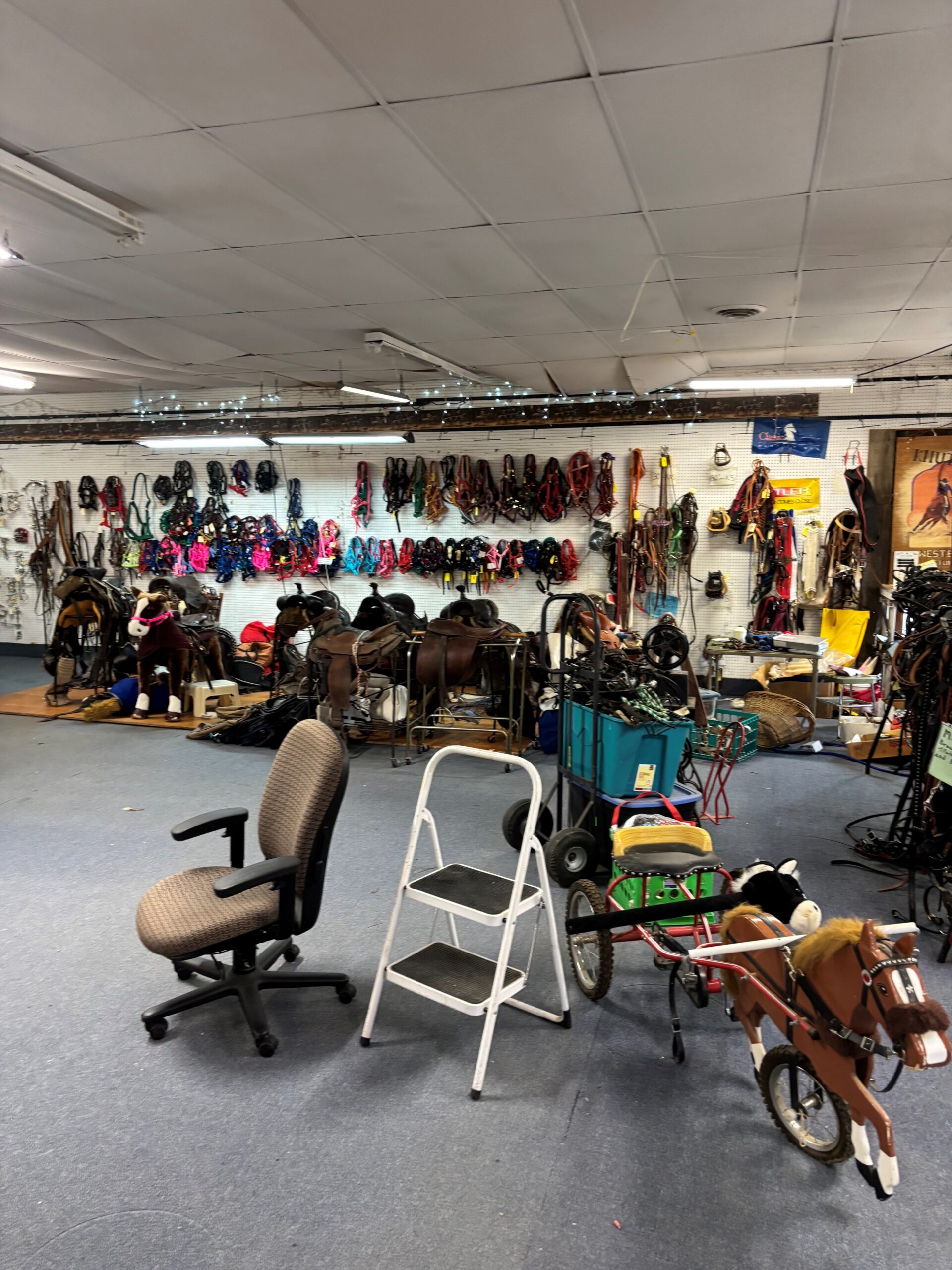 Western Store - Waverly Sales