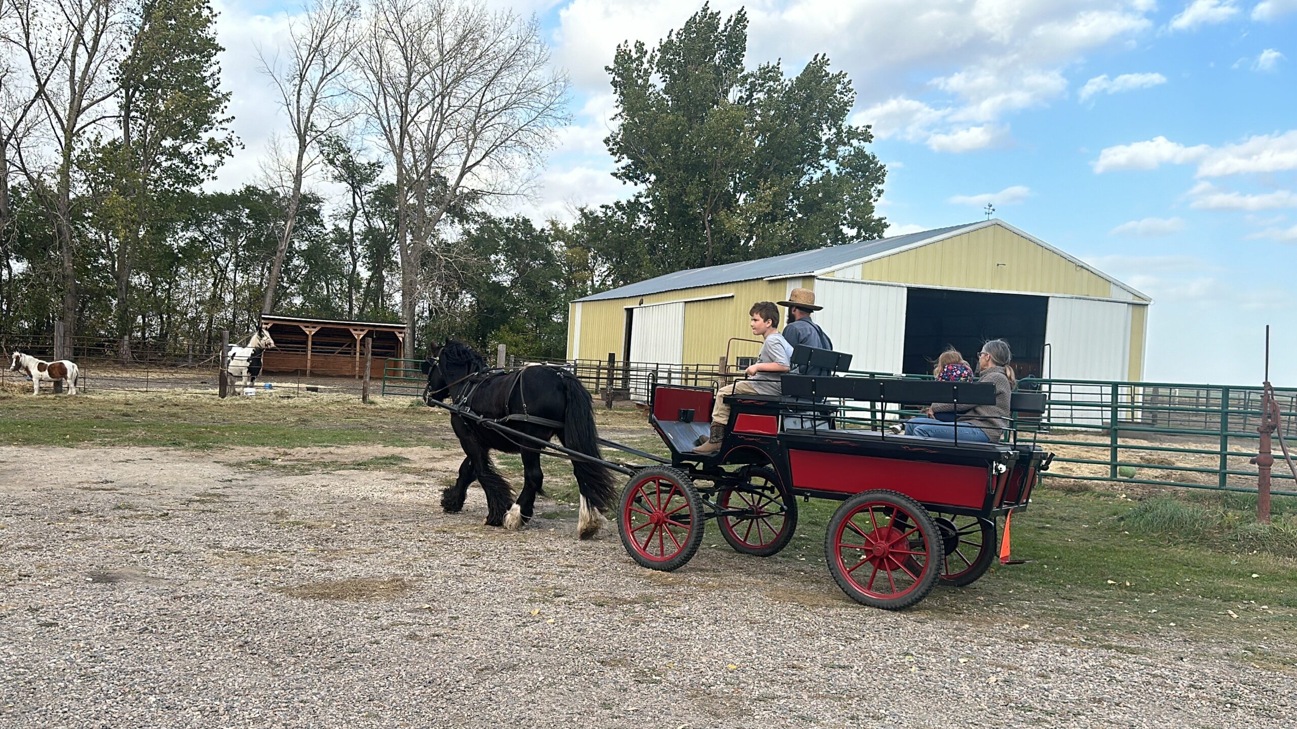 4 wheel wagon with bench seats - Waverly Sales