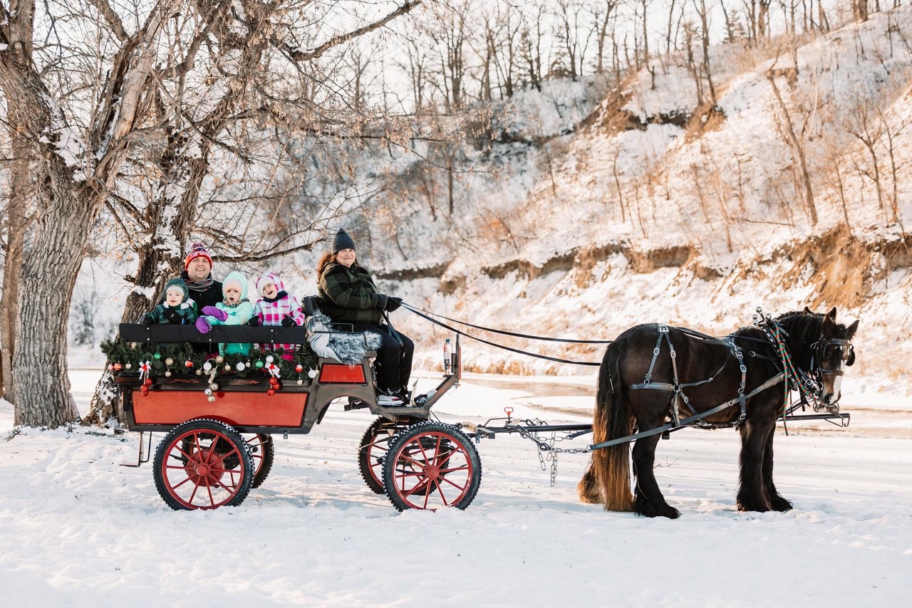 4 wheel wagon with bench seats - Waverly Sales