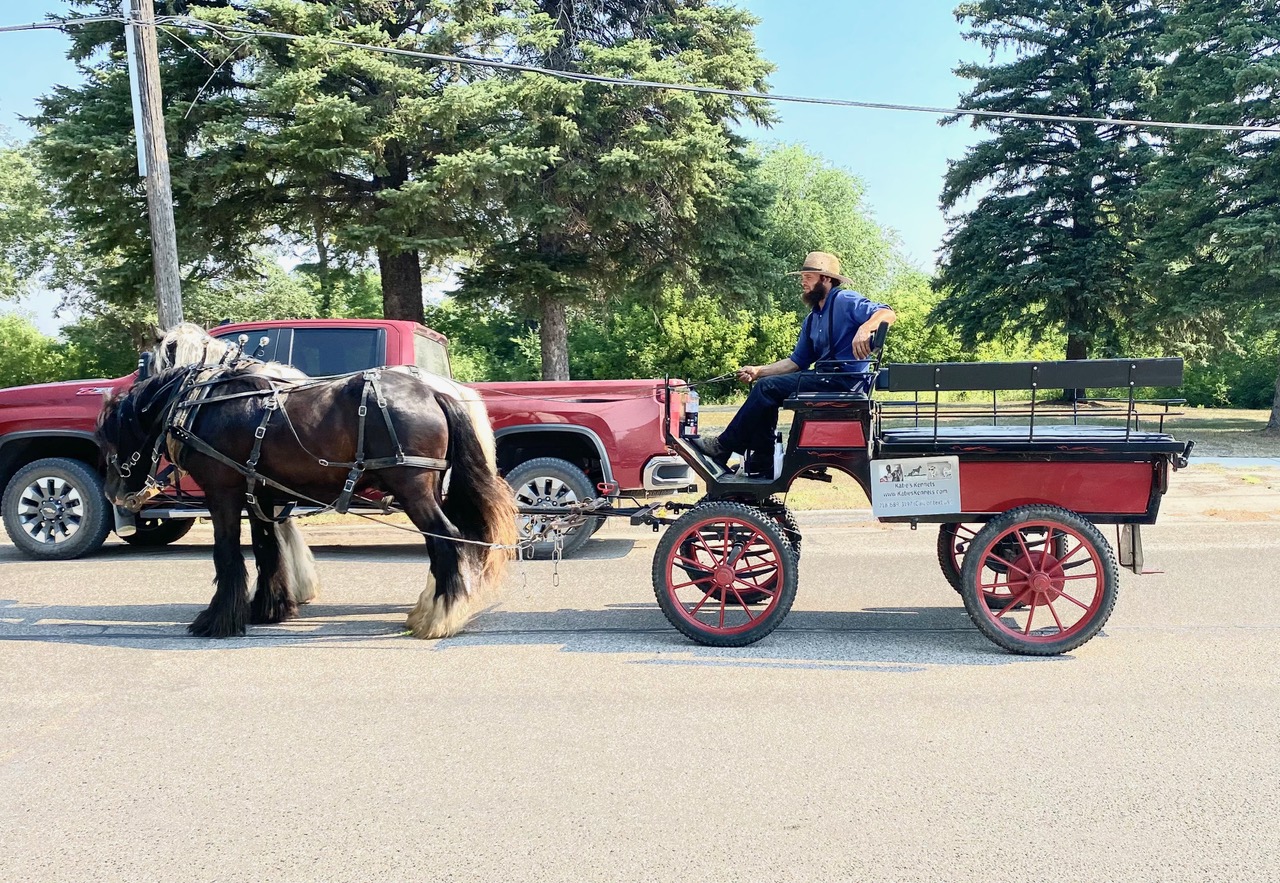 4 wheel wagon with bench seats - Waverly Sales