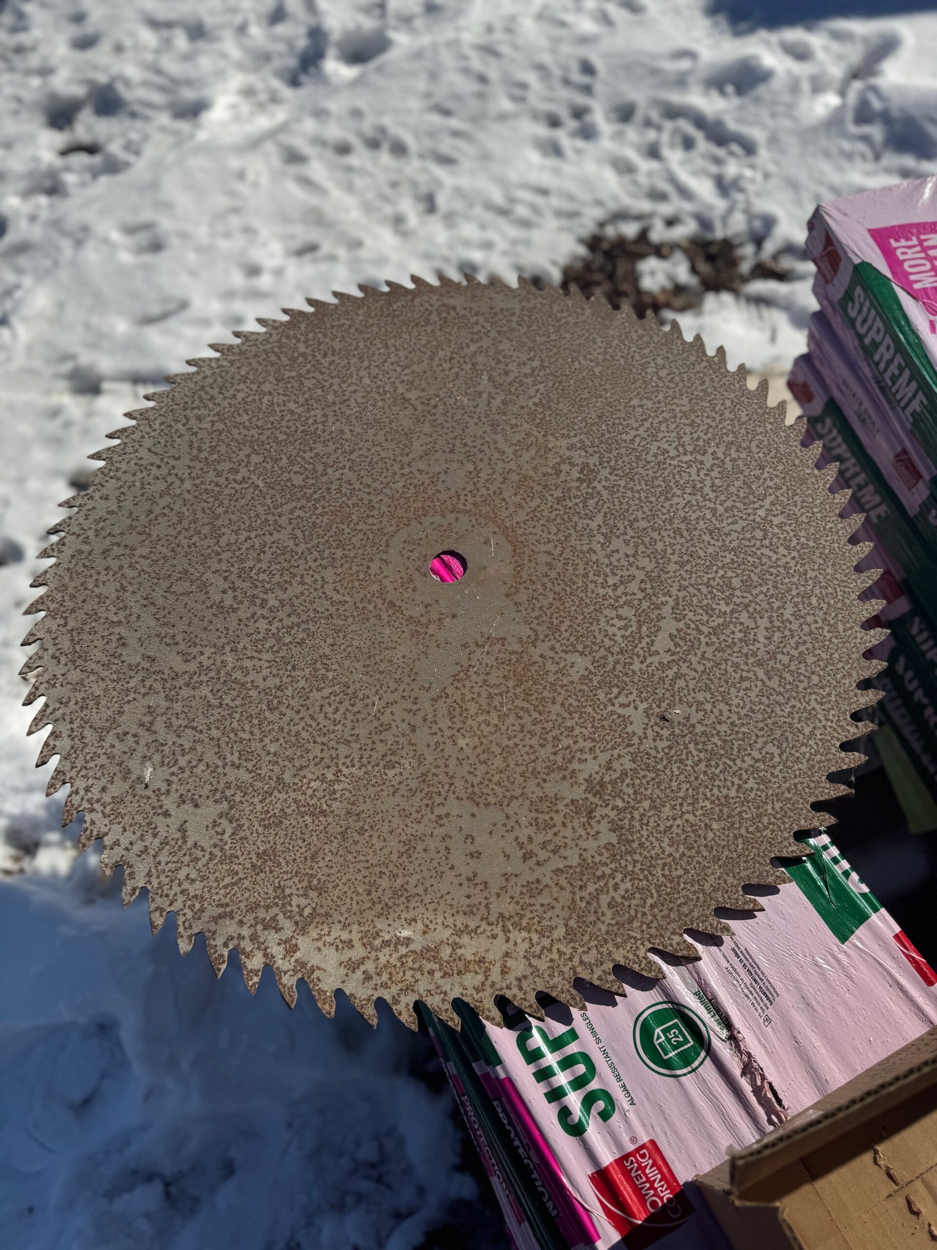 Buzz saw blade - Waverly Sales